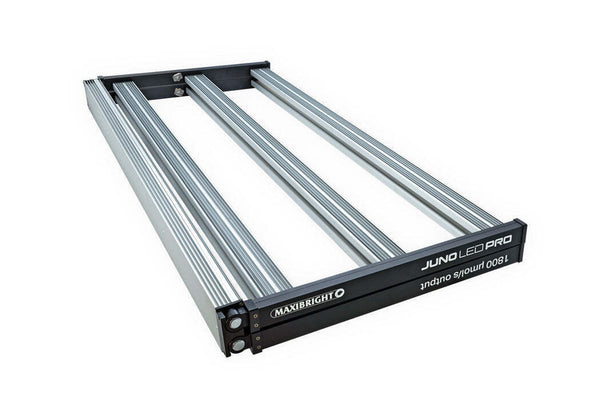 Maxibright JUNO PRO 720w Full Spectrum LED 1800umol/s Grow Room Light | Homewith Bargains